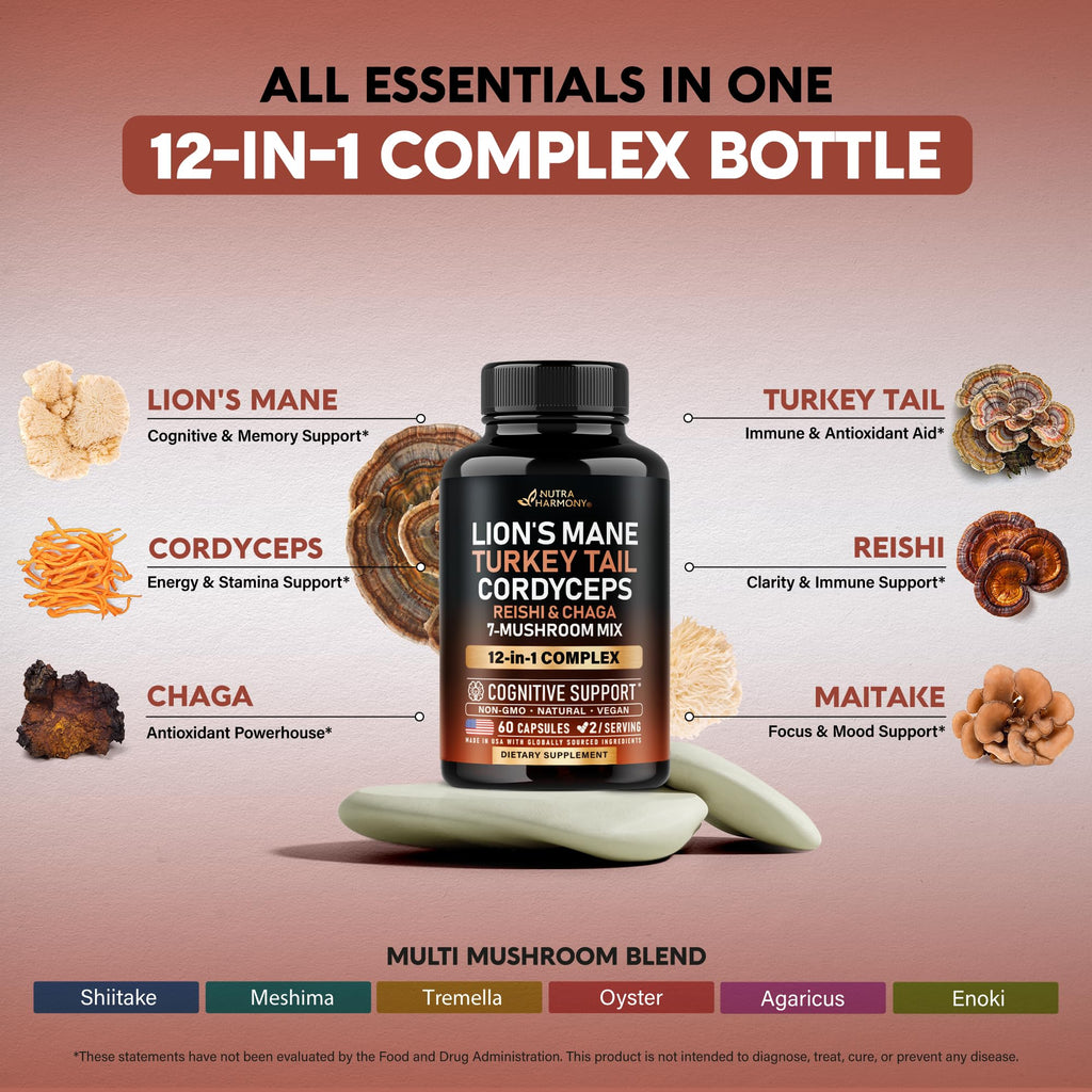 mushroom extract for energy boost