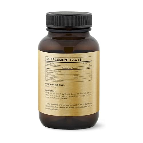 Mushroom extract for energy levels