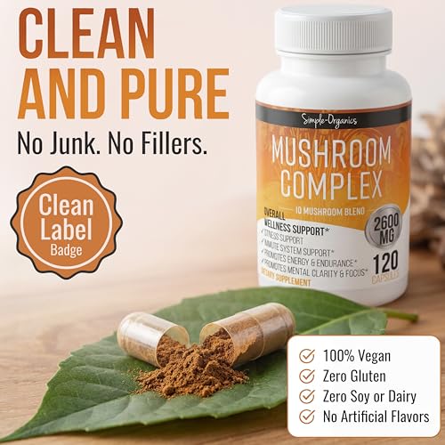 mushroom extract for energy levels