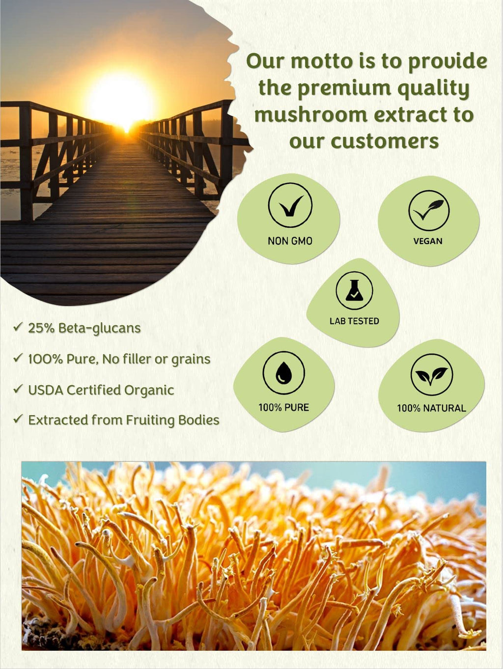 mushroom extract for enhanced athletic performance