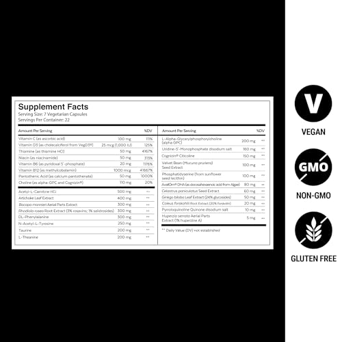 mushroom extract for enhanced cognition