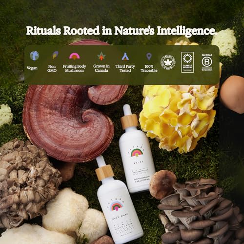 Mushroom extract for enhanced endurance