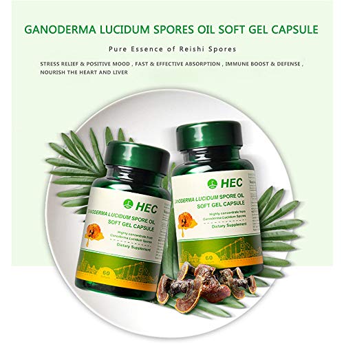 mushroom extract for enhanced energy