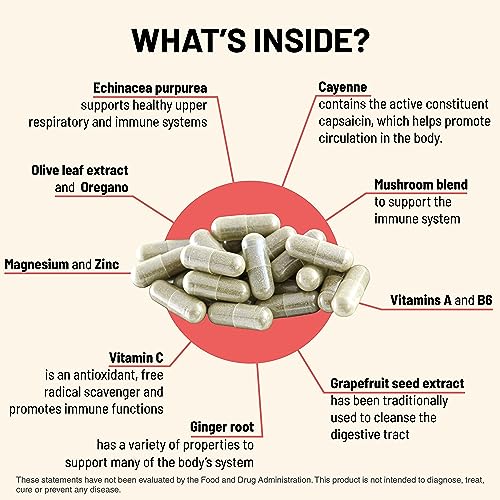 mushroom extract for enhanced immunity