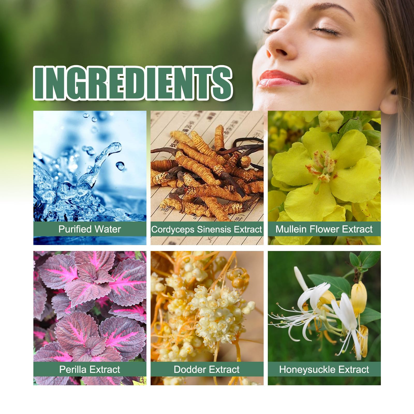 Mushroom extract for enhanced lung capacity