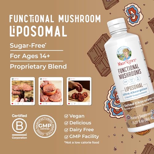 Mushroom extract for enhanced mental clarity