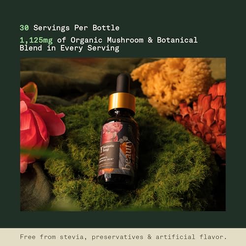 Mushroom extract for enhanced skin hydration