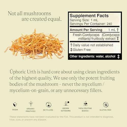 Mushroom extract for enhanced stamina