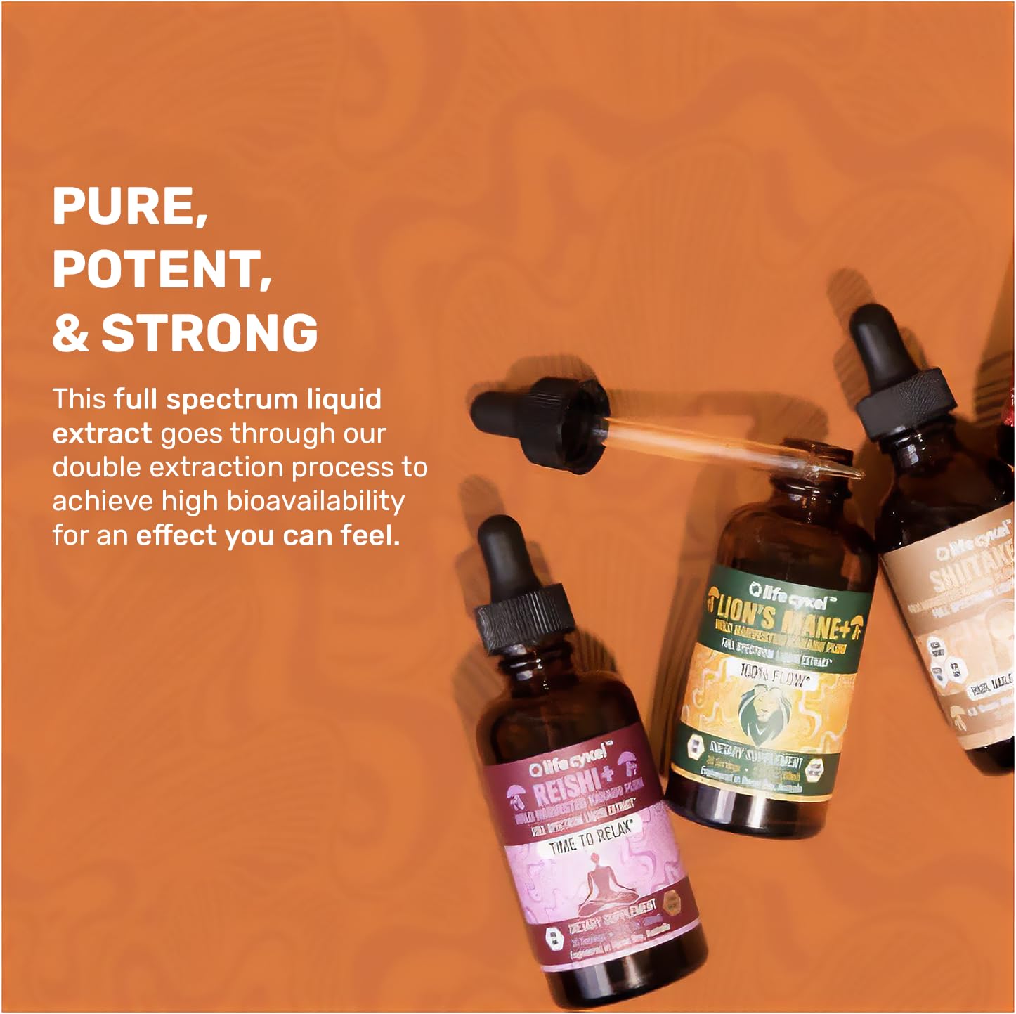 Mushroom extract for everyday health