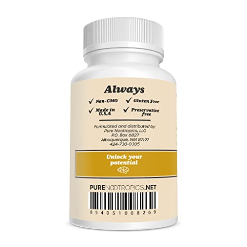 Mushroom extract for focus enhancement