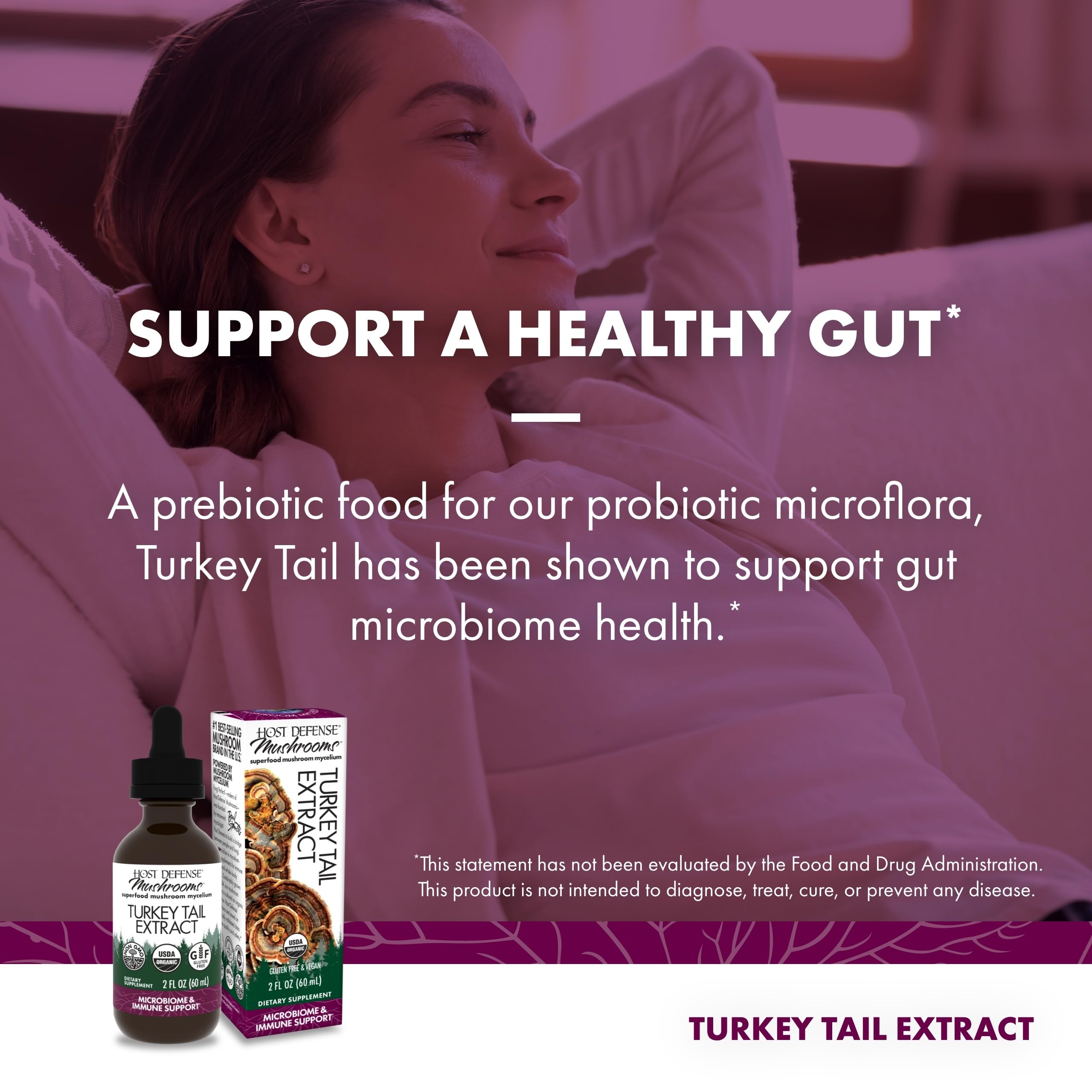 Mushroom extract for gut health