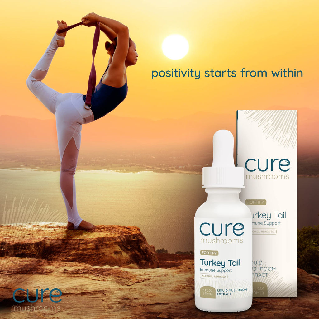 mushroom extract for gut health