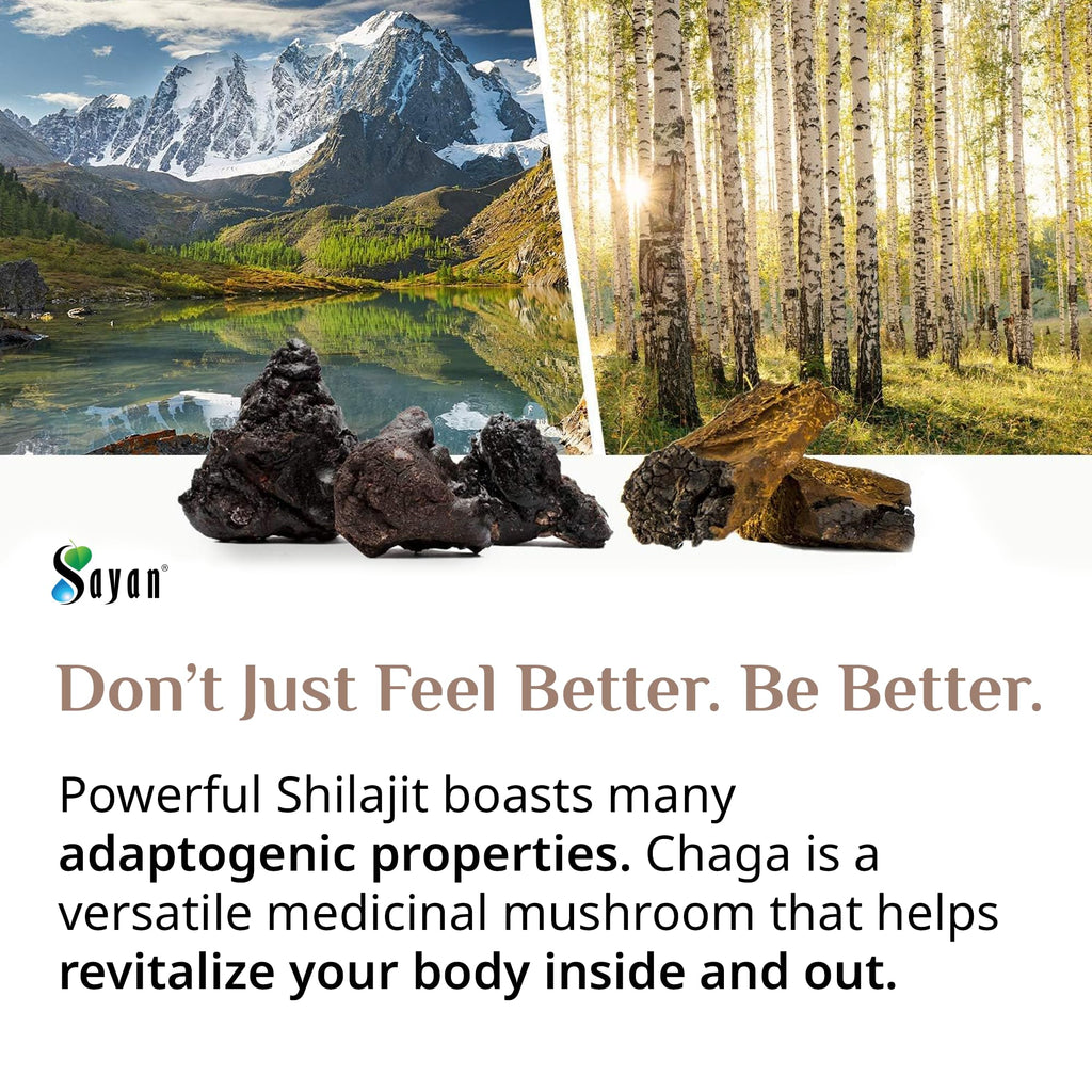 Mushroom extract for healthy living