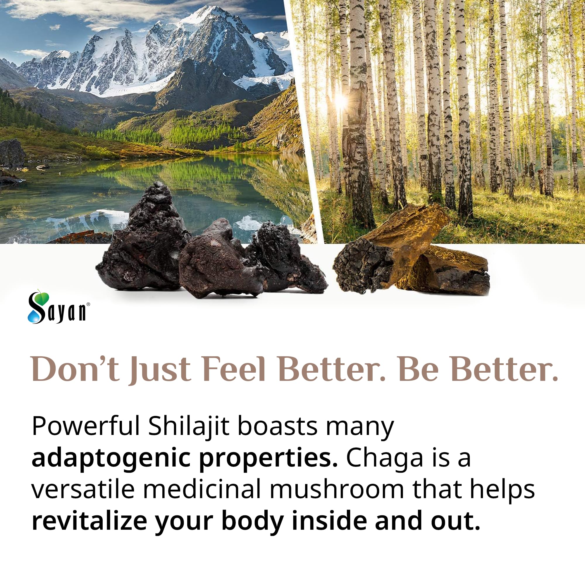 Mushroom extract for healthy living