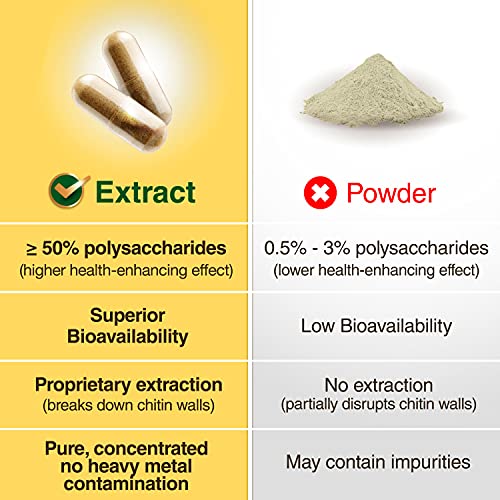 mushroom extract for holistic healing