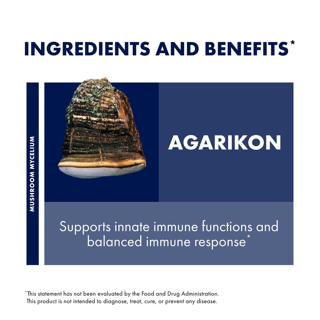mushroom extract for holistic health