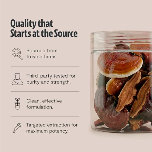 mushroom extract for holistic health