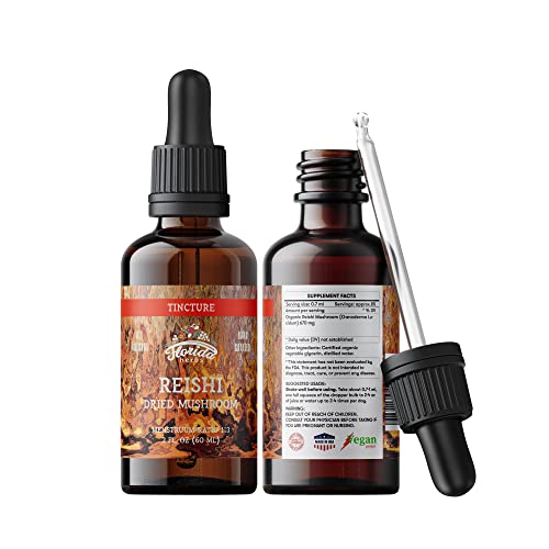 mushroom extract for holistic health