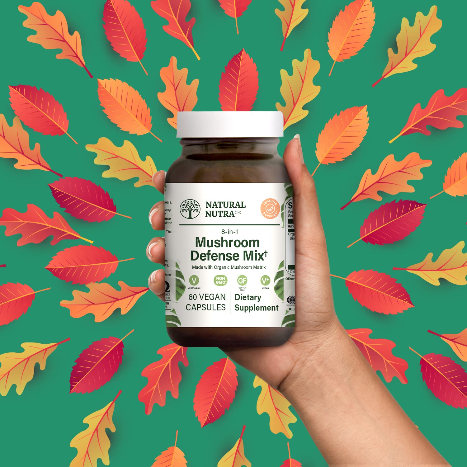 Mushroom extract for holistic health