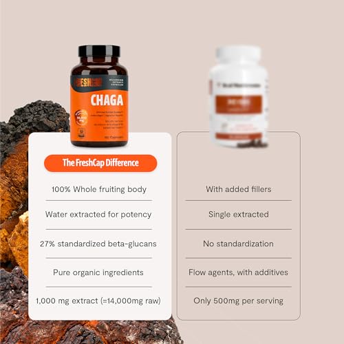 mushroom extract for holistic health