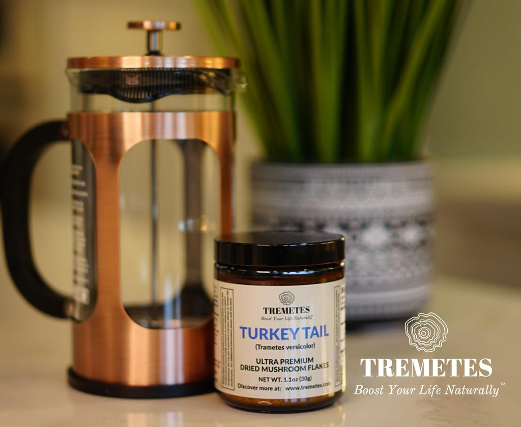 Mushroom extract for holistic health