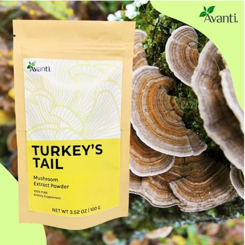 mushroom extract for holistic health