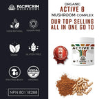 Mushroom extract for holistic nutrition