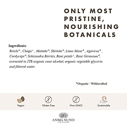 Mushroom extract for holistic wellness