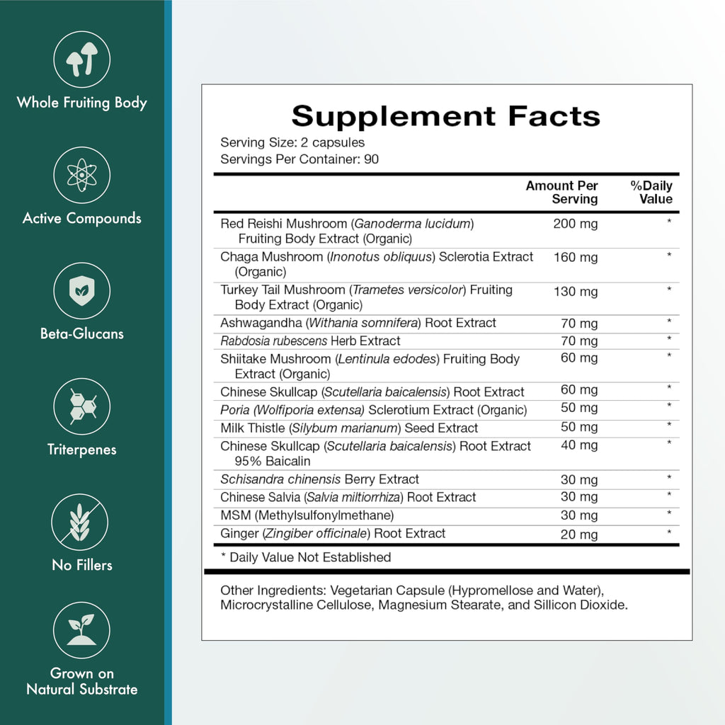 mushroom extract for holistic wellness