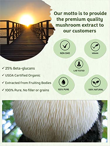 Mushroom extract for immune health