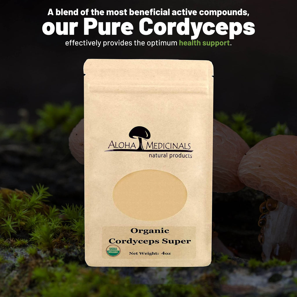 Mushroom extract for immune support