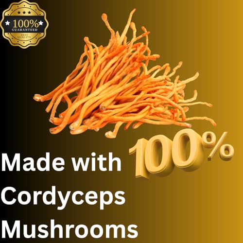 Mushroom extract for immune support