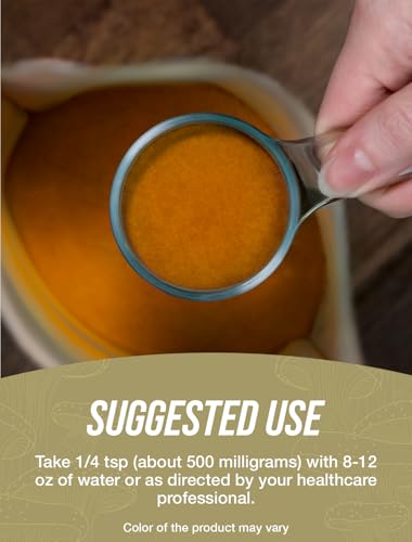 Mushroom extract for immune support