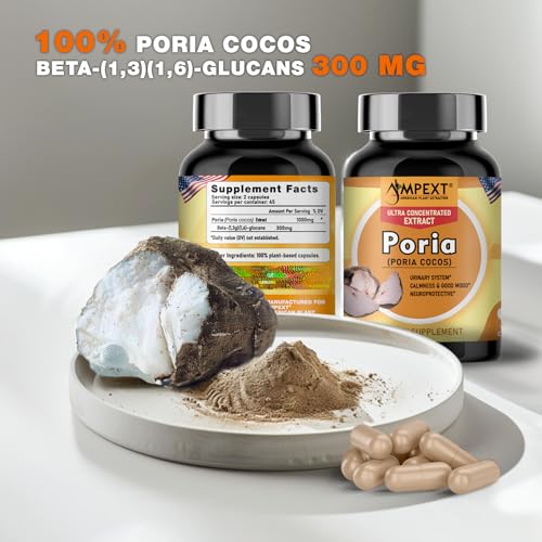 Mushroom extract for immune support