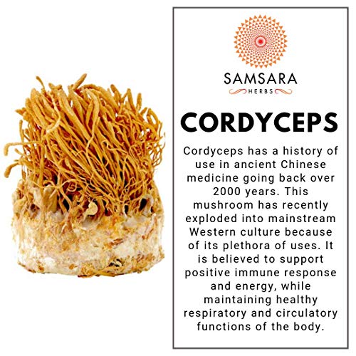 Mushroom extract for immune support