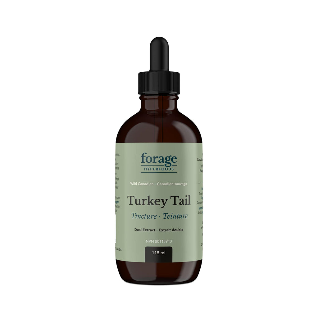 mushroom extract for immune support