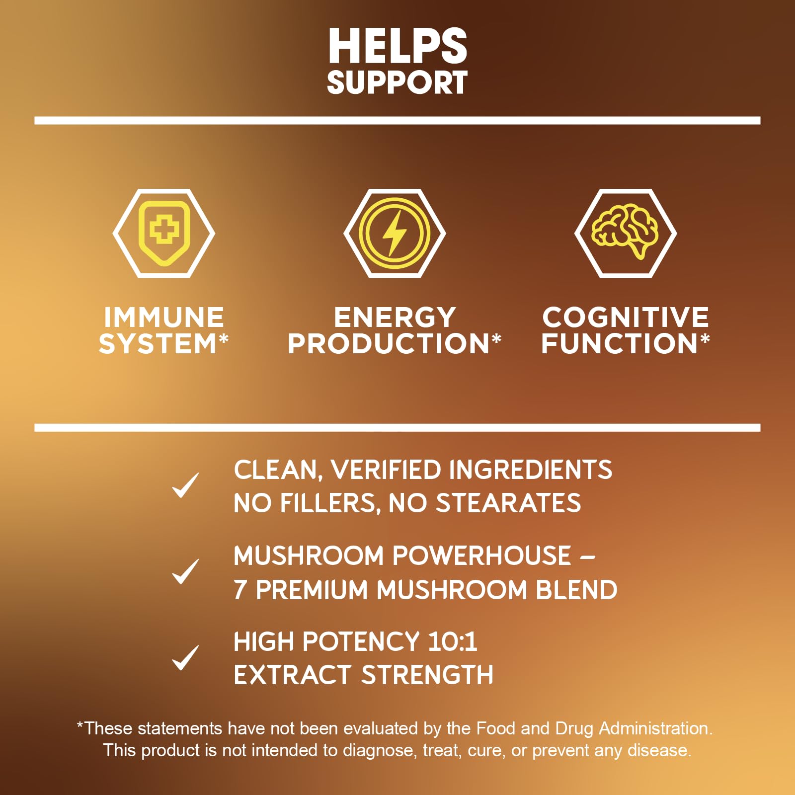 mushroom extract for immune support