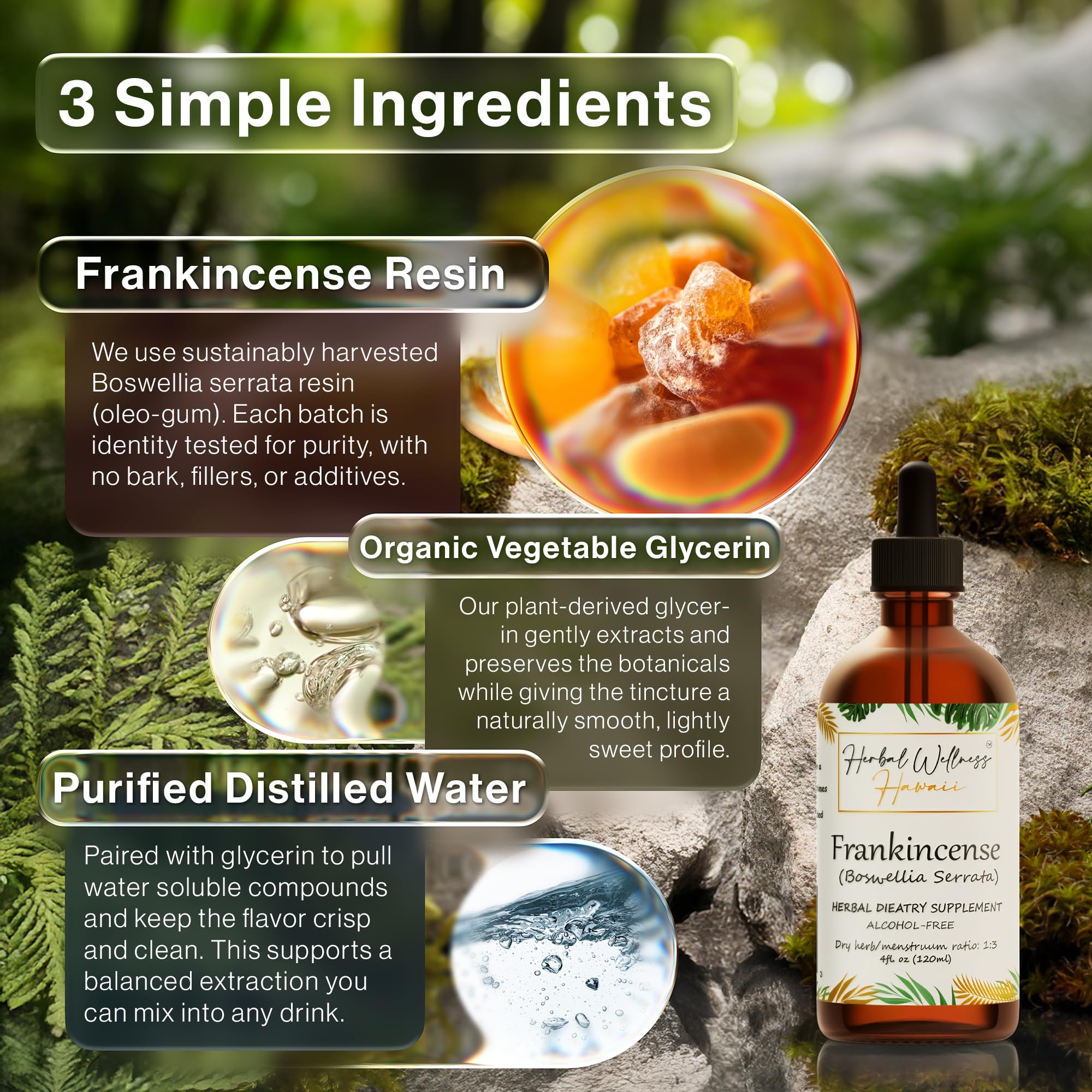 mushroom extract for immune support