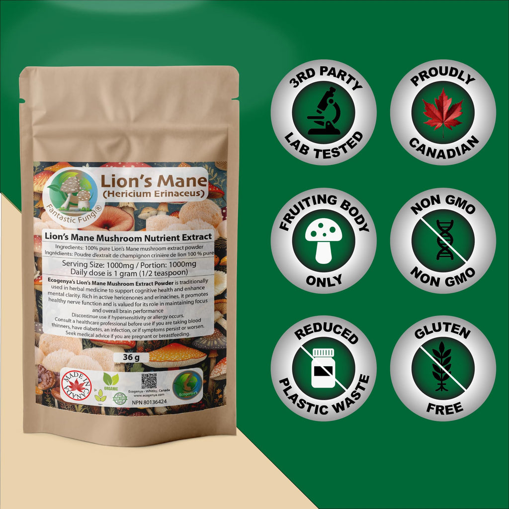 Mushroom extract for immune support