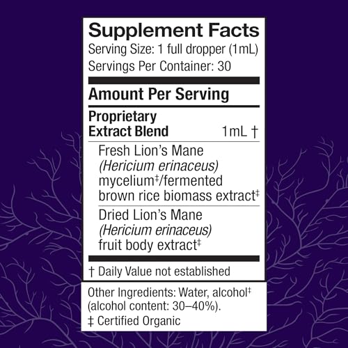 mushroom extract for immune system boost
