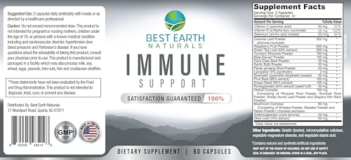 mushroom extract for immune system boost