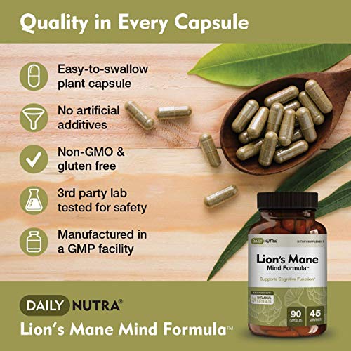 Mushroom extract for improved cognitive function