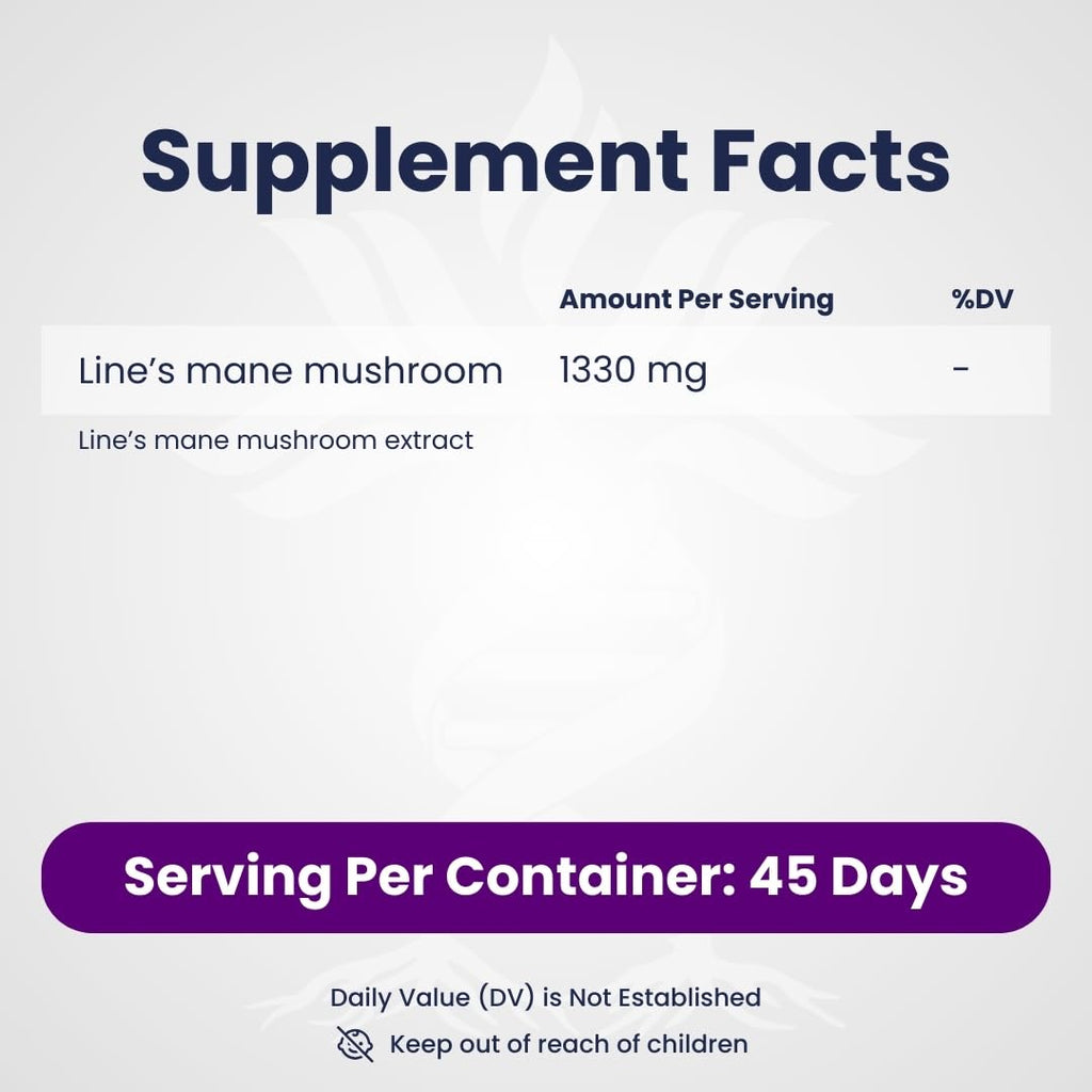 Mushroom extract for improved concentration