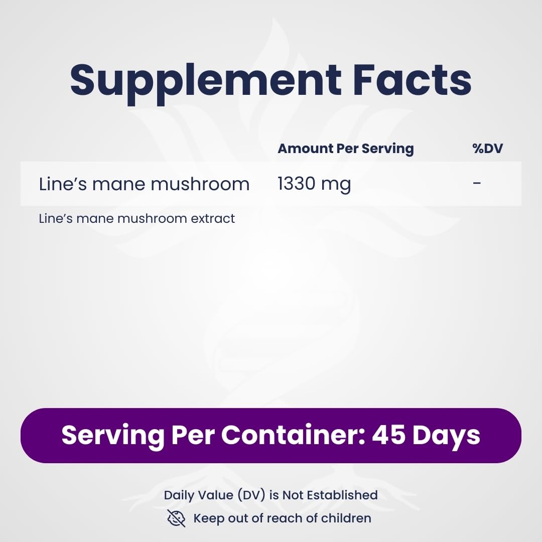 Mushroom extract for improved concentration
