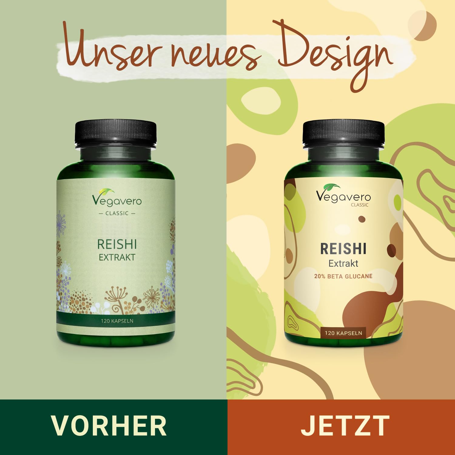 Mushroom extract for improved focus