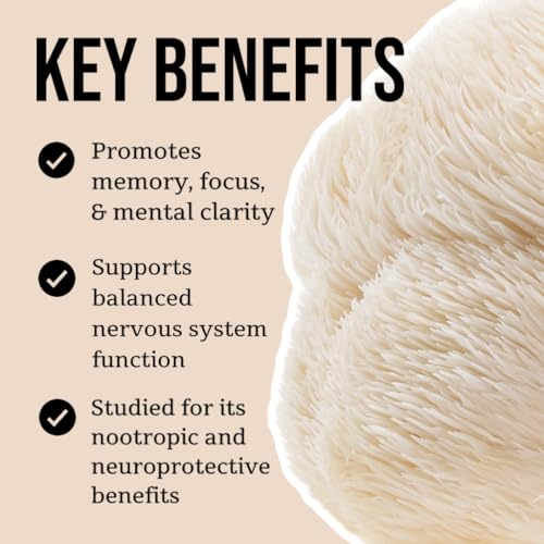 Mushroom extract for improved focus