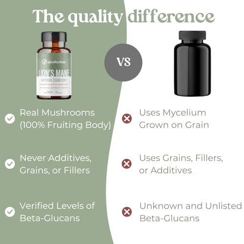 mushroom extract for improved memory