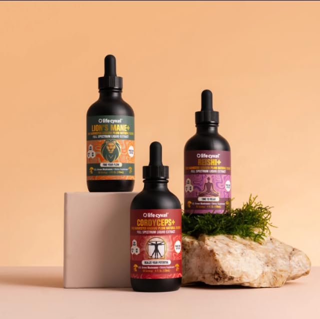 Mushroom extract for mental clarity
