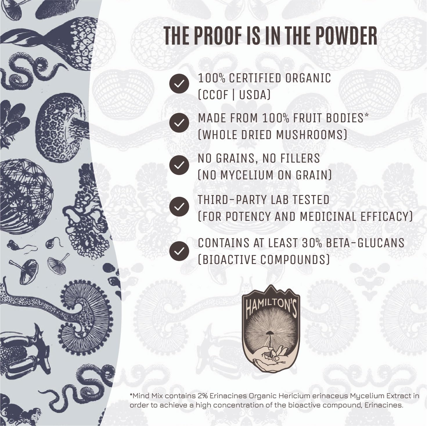 mushroom extract for mental clarity