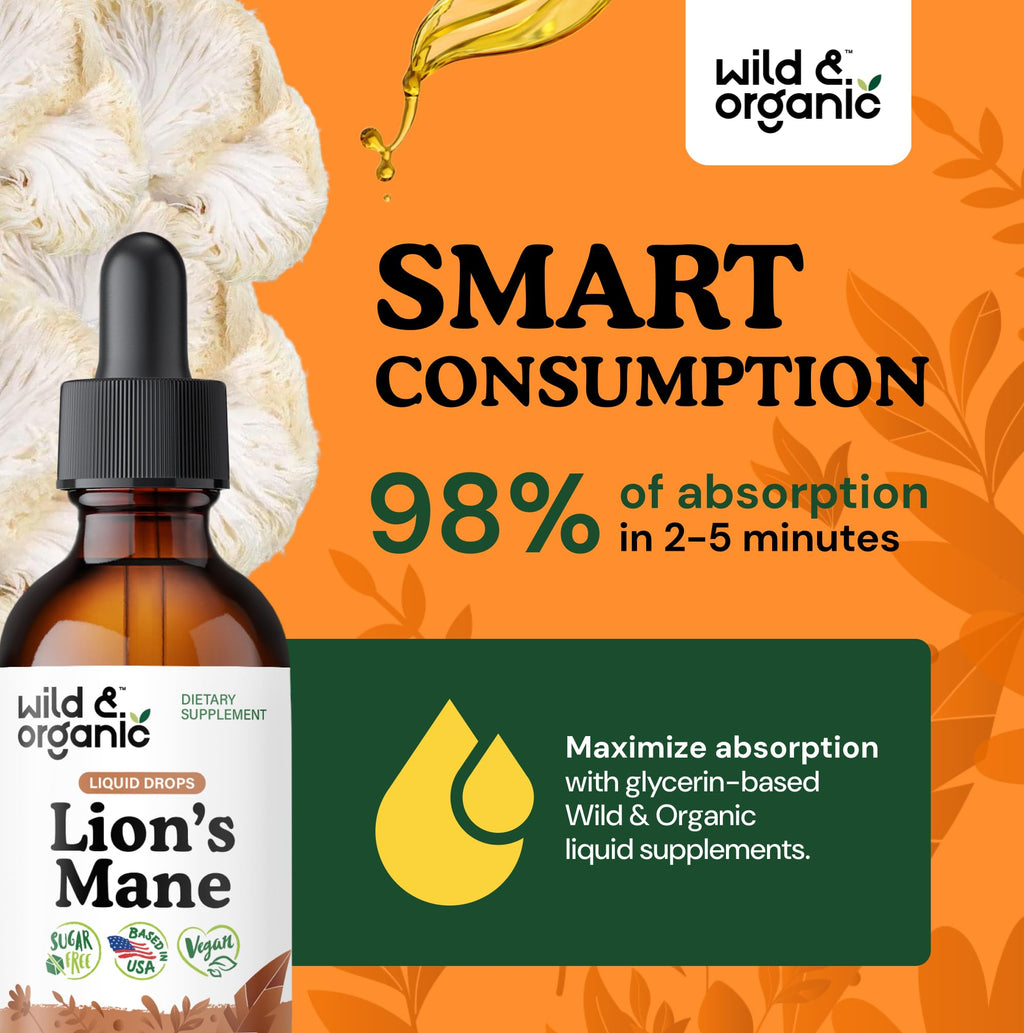 mushroom extract for mental clarity